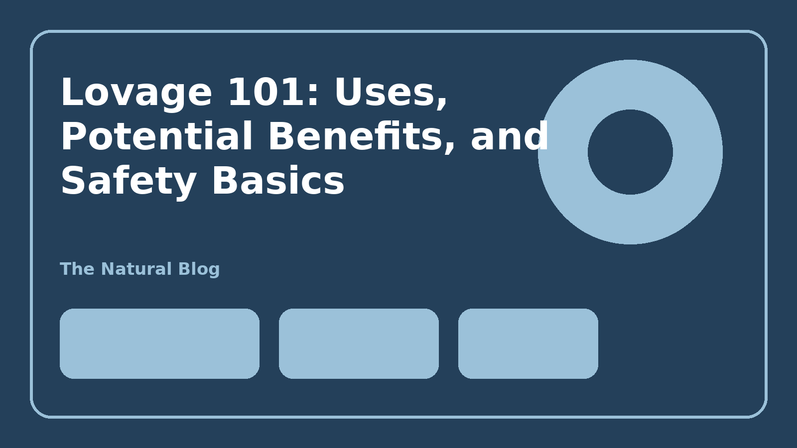 Lovage 101: Uses, Potential Benefits, and Safety Basics – TheNatural